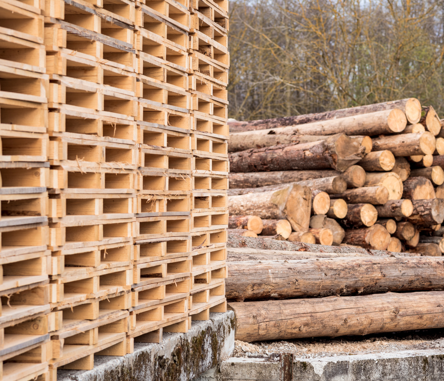 Heat-Treated Wooden Pallets: Learn More About The Benefits | CM Pallets